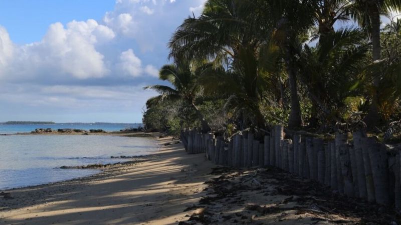 Tonga facing up to rising sea levels - BBC News