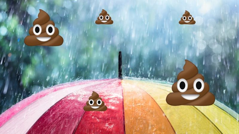 Do you know what happens to your poo? - BBC Newsround