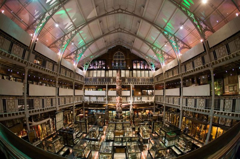 Pitt Rivers: The museum that's returning the dead - BBC News