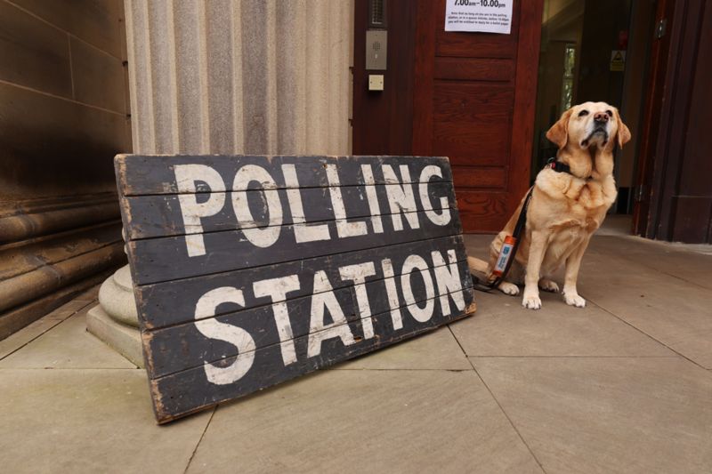 Local elections 2024: Dogs at polling stations - BBC News