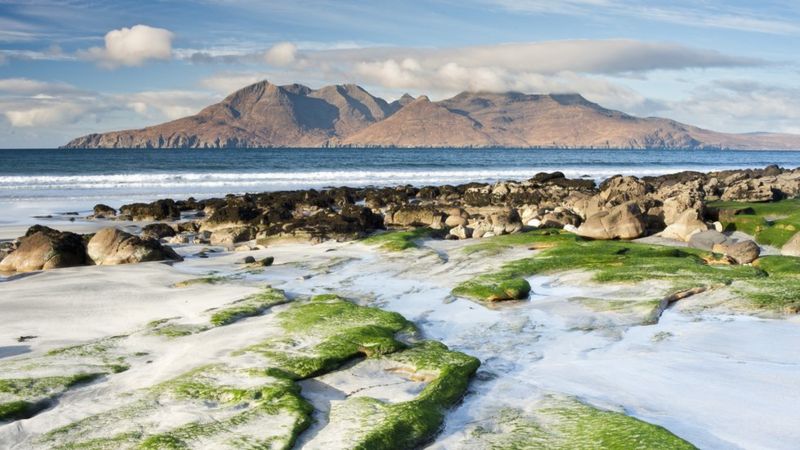 'We've just moved to a remote island we'd never visited' - BBC News