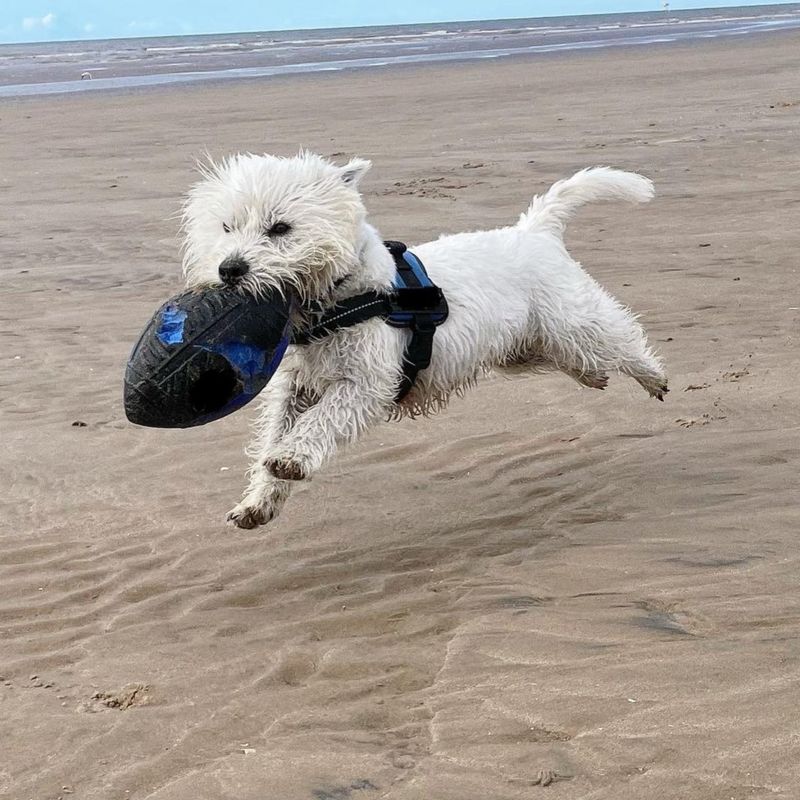 England's Big Picture: 26 September - 2 October 2022 - BBC News