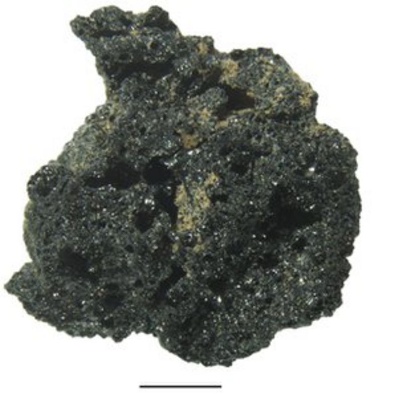 Prehistoric bake-off: Scientists discover oldest evidence of bread ...