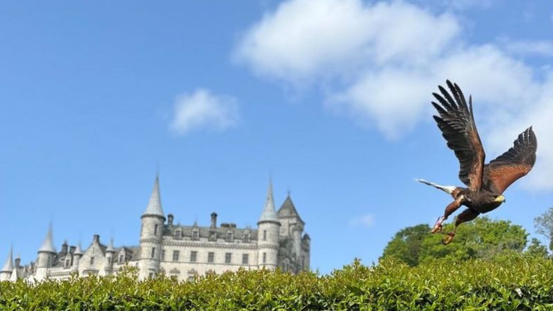 Your pictures of Scotland: 26 May - 2 June - BBC News