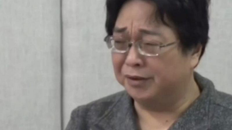 China releases Swedish rights activist Peter Dahlin - BBC News