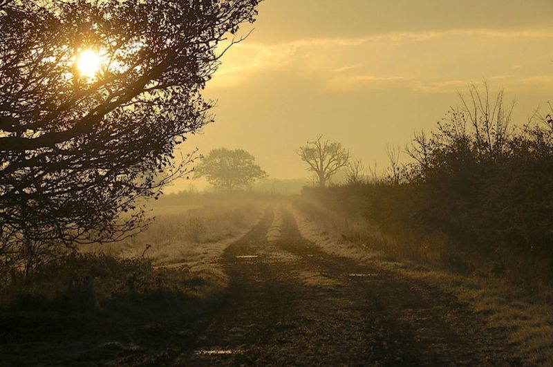 Your pictures: Rural life - BBC News
