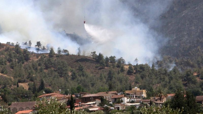 Second firefighter dies tackling Cyprus forest fires - BBC News