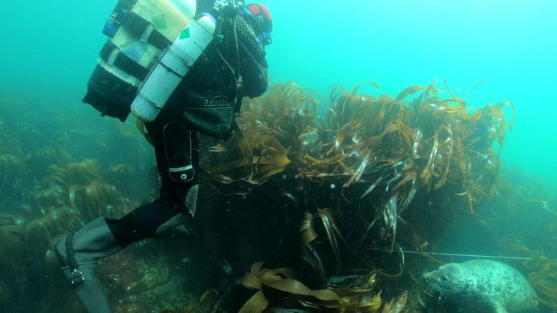 HMS Montagu: Battleship wreck given protected status - BBC News