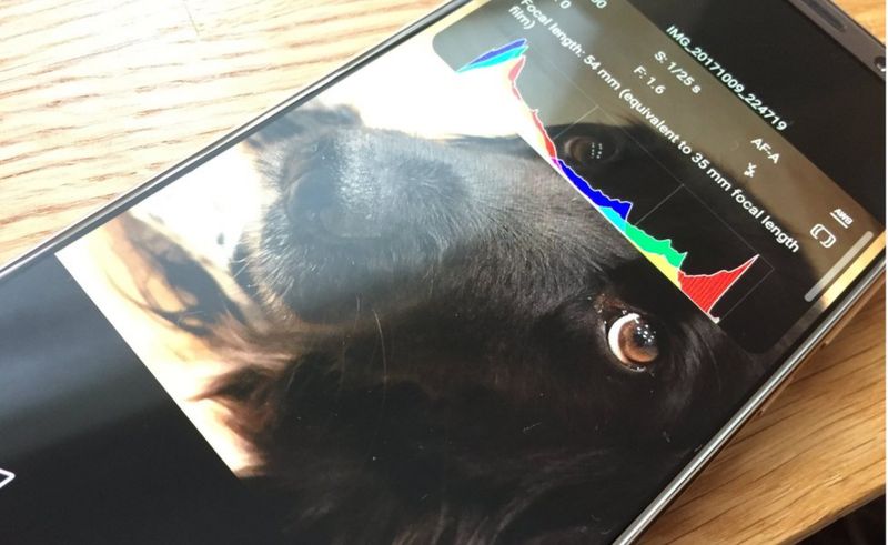 Huawei Mate 10 uses AI to distinguish cats from dogs - BBC News