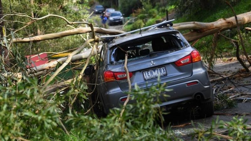 Melbourne storm: Three killed as winds cause widespread damage - BBC News