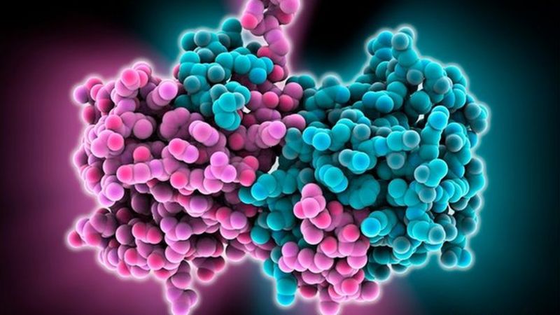 Ebola global response was 'too slow', say health experts - BBC News