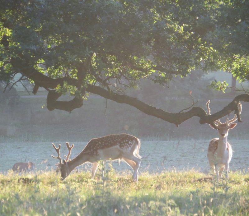 England's Big Picture: 4 September - 10 September 2023 - BBC News