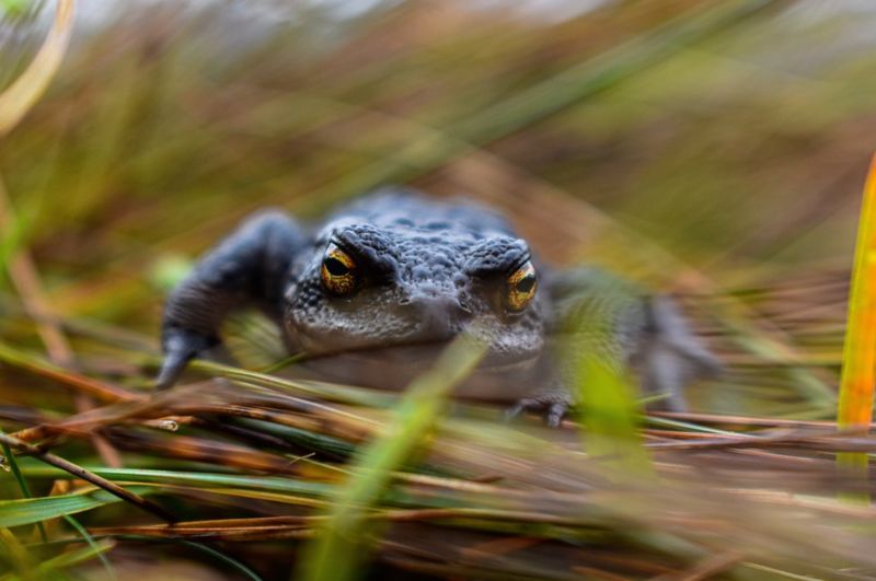 Your pictures on the theme of 'tiny things' - BBC News