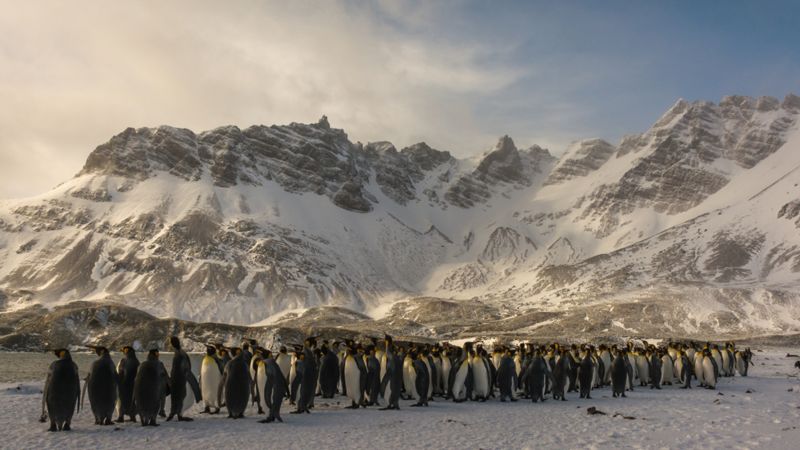 Scientists trace South Georgia's giant ice history - BBC News