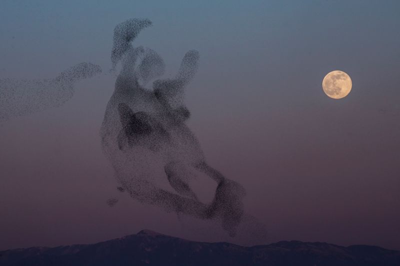 In pictures: Stunning Wolf Moon dazzles around the world - BBC News