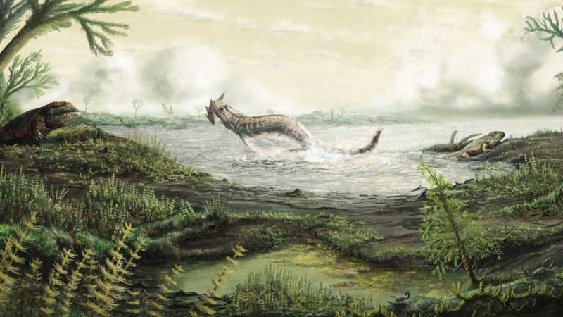 Scottish fossils tell story of first life on land - BBC News