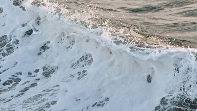 Scottish government launches £10m Saltire Fund - BBC News