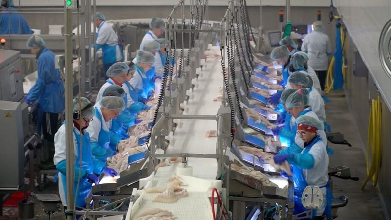 Iceland's fishing industry 'better off outside' EU - BBC News