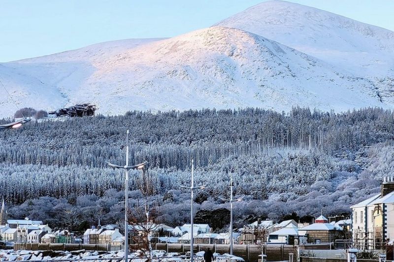 Northern Ireland snow: Cancellations, disruptions and closures - BBC News