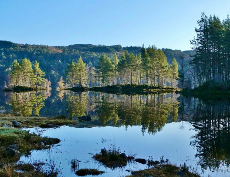 Your pictures of Scotland: 2-9 December - BBC News