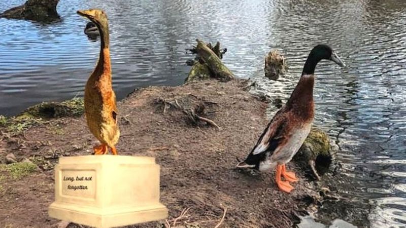 Long Boi: £5.5k raised for statue of missing University of York duck ...