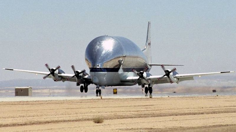 Cómo es el BelugaXL, el nuevo y gigantesco avión de carga de Airbus que ...