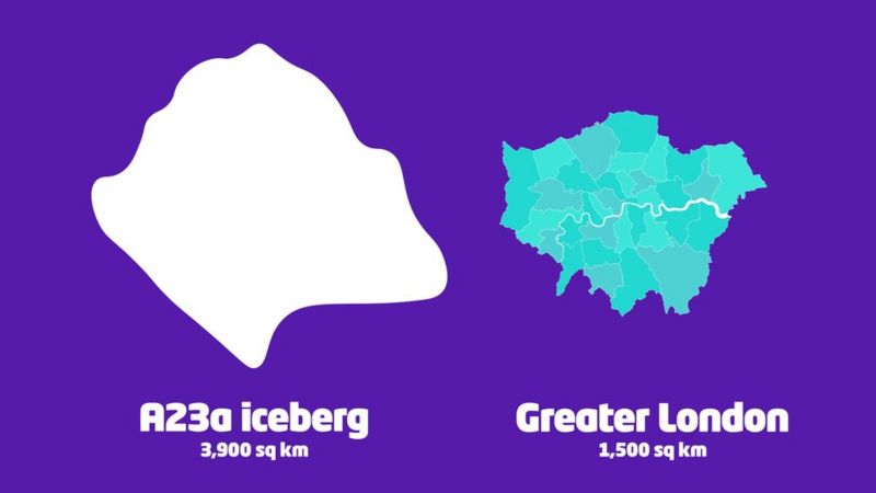 A23a: World's biggest iceberg in numbers - BBC Newsround