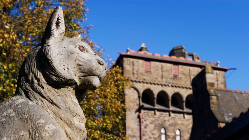 Cardiff Castle animal wall comes alive in children's book - BBC News