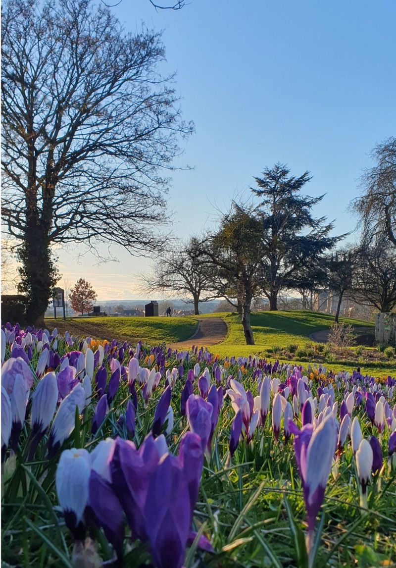 England's Big Picture: 6 March - 12 March 2023 - BBC News