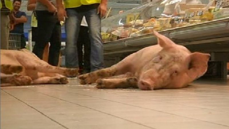 Spain summons French ambassador over wine lorry attack - BBC News