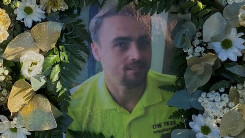 Cheshunt Tree surgeon crushed to death in loader accident - BBC News