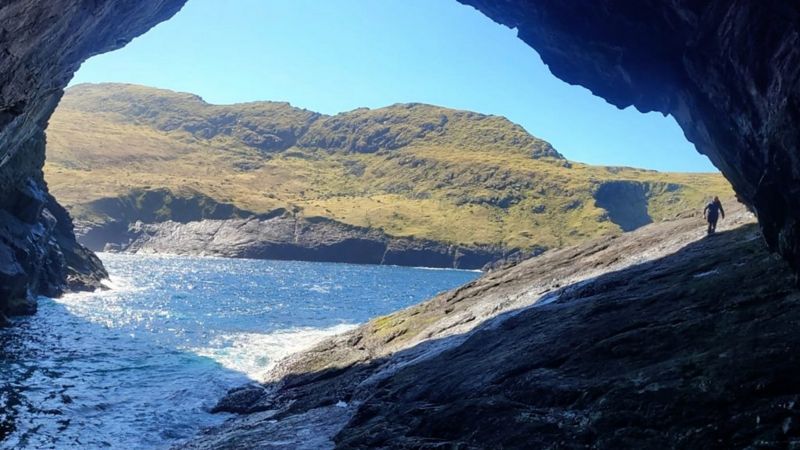St Kilda's unusual meat-eating field mice - BBC News