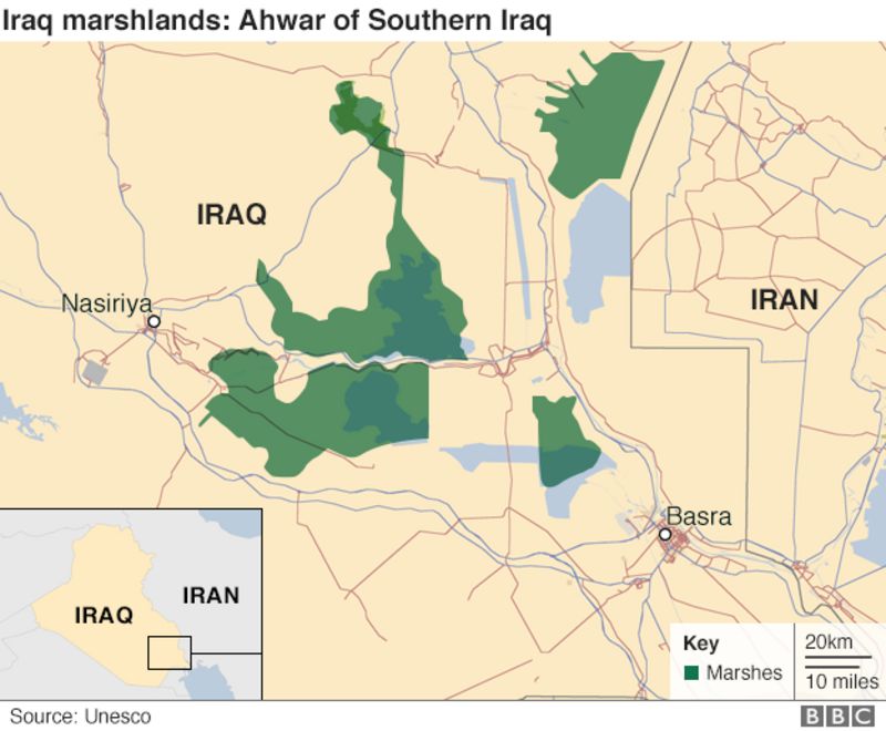 Iraq marshlands named Unesco World Heritage Site - BBC News