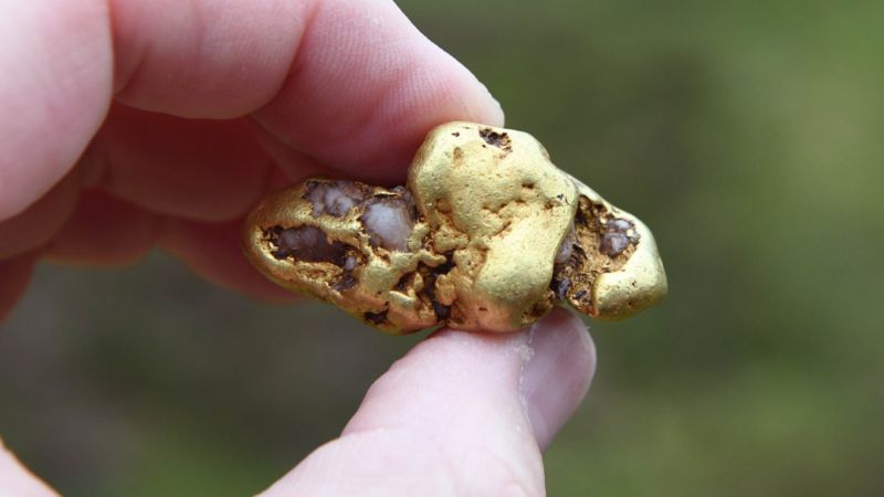 Welcome Stranger: World's largest gold nugget remembered - BBC News