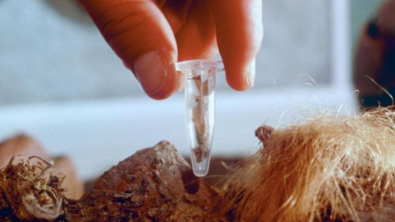 La cada vez más cercana posibilidad de clonar especies de animales ...