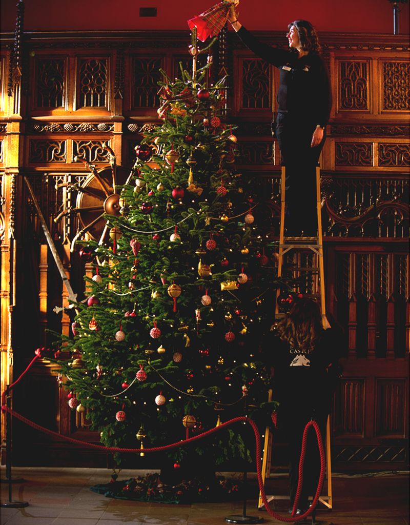 In pictures: Scotland's amazing Christmas trees - BBC News