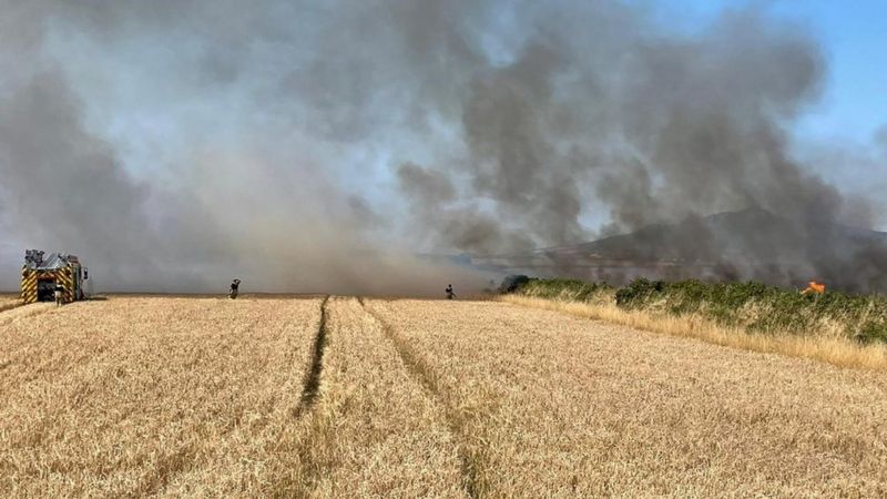 St Davids: Roads reopen after large corn fields fire put out - BBC News