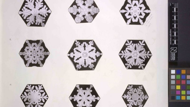 Rare snowflake photo gallery shared online by Natural History Museum ...