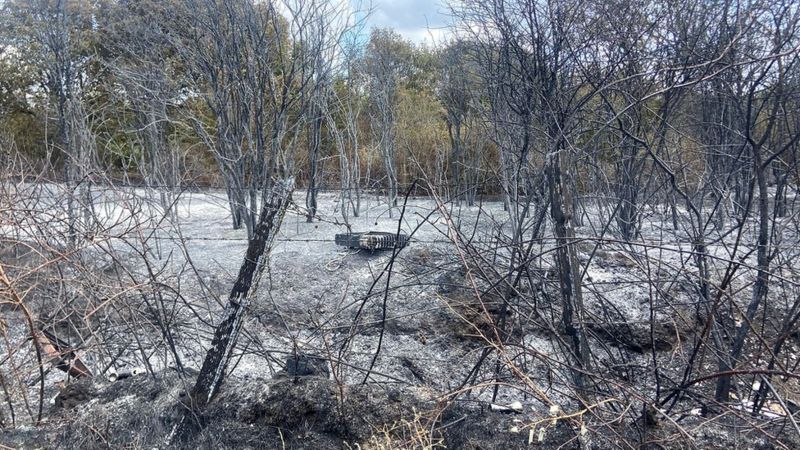 Dartford fires: Crews remain at scene of blazes on Dartford Heath - BBC ...