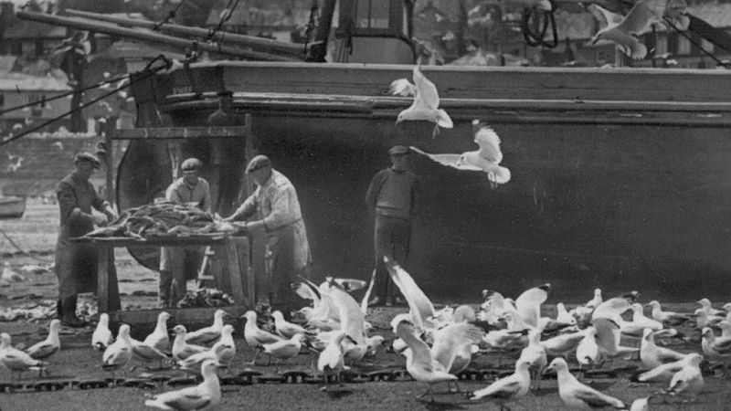Digital archive of Cornish life opens online - BBC News