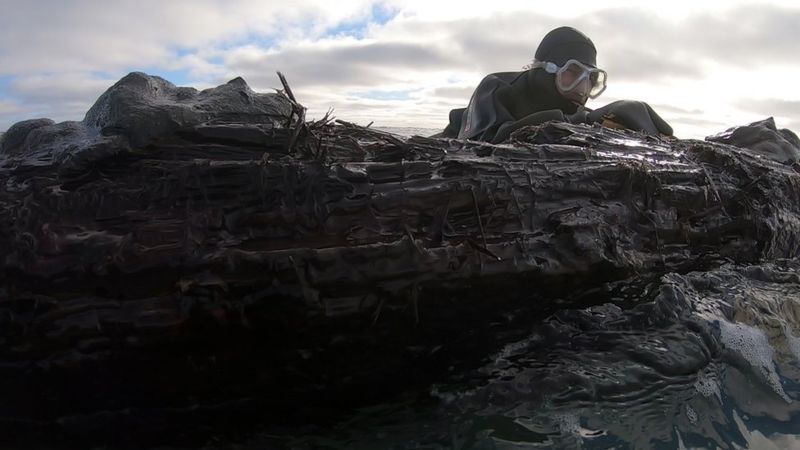 Canada shipwreck: Newfoundland locals try to solve Cape Ray mystery ...