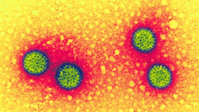 नेपाल खोप अभियानः रोटाभाइरस के हो र त्यसविरुद्ध खोप लगाउन किन आवश्यक ...