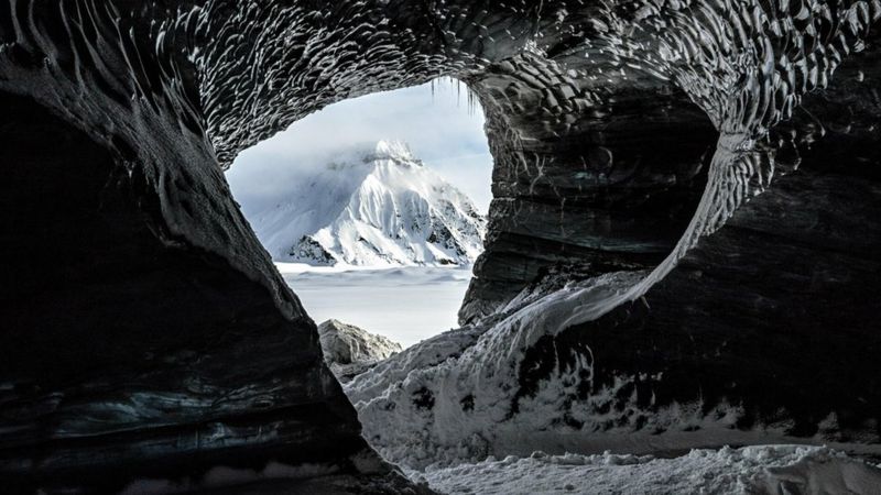 Environmental Photography Award winning photos - BBC Newsround