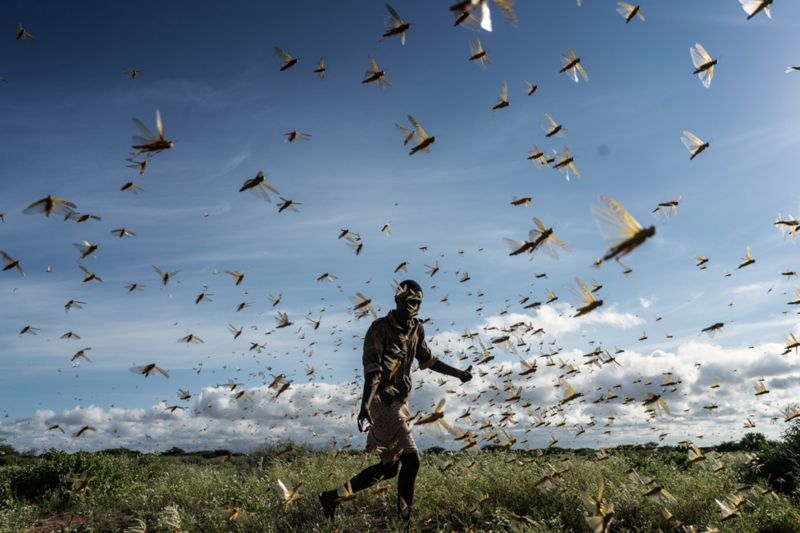 Striking news photos from around the world in 2020 - BBC News