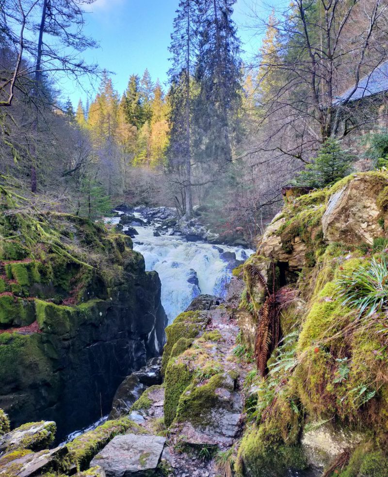 Your pictures of Scotland: 20 - 27 January - BBC News