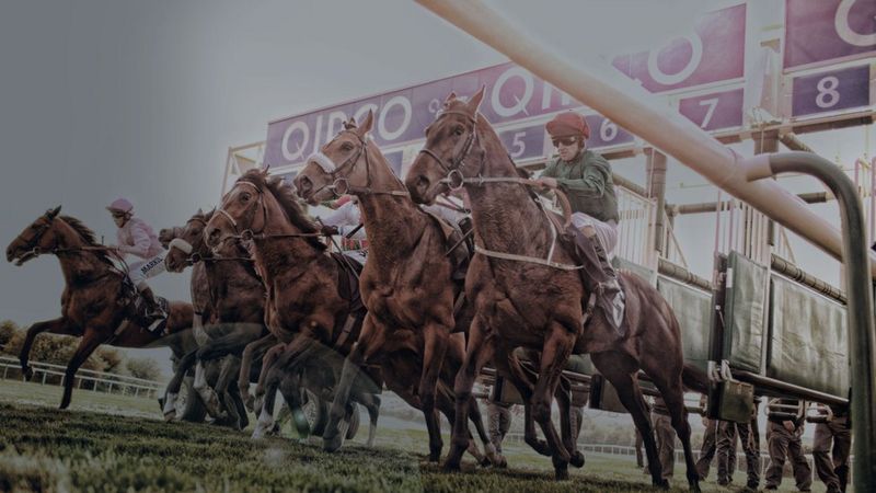 Newmarket celebrates 350 years of horse racing - BBC News