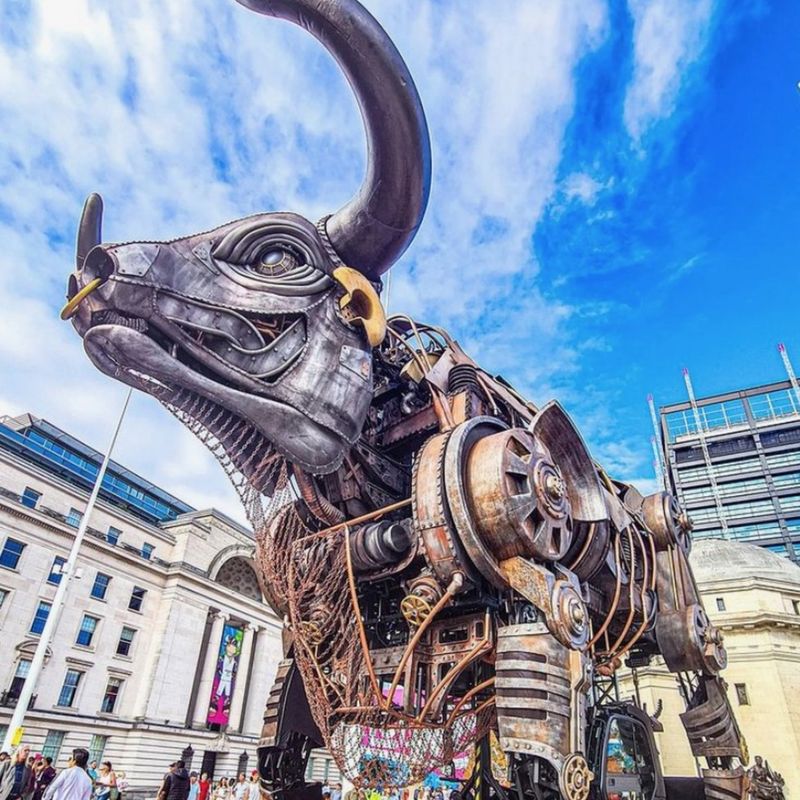 Birmingham bull: Photographers share images on Instagram - BBC News