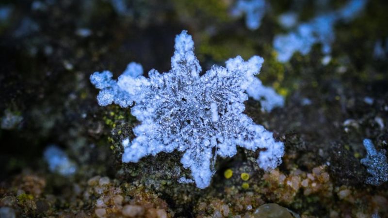 Beautiful snowflakes photographed by BBC Weather Watchers - BBC Weather