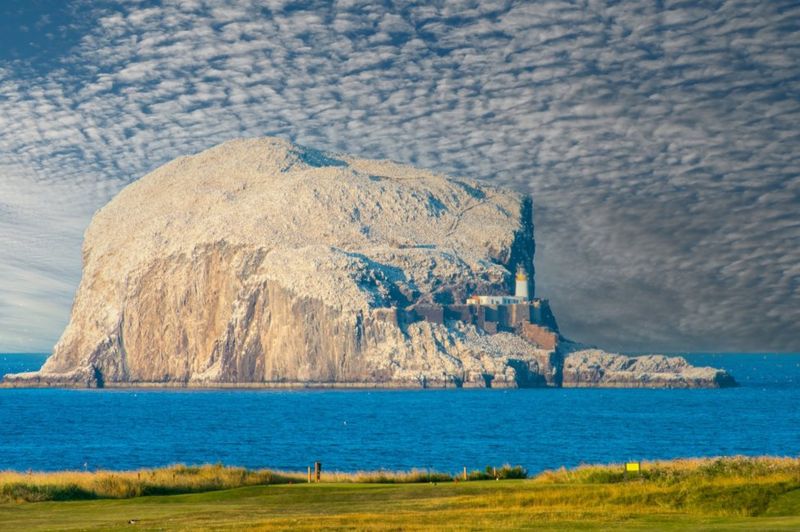 Your pictures of Scotland: 4 November - 11 November - BBC News