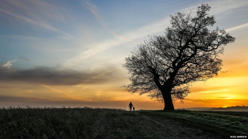 Your January UK weather photos - BBC Weather